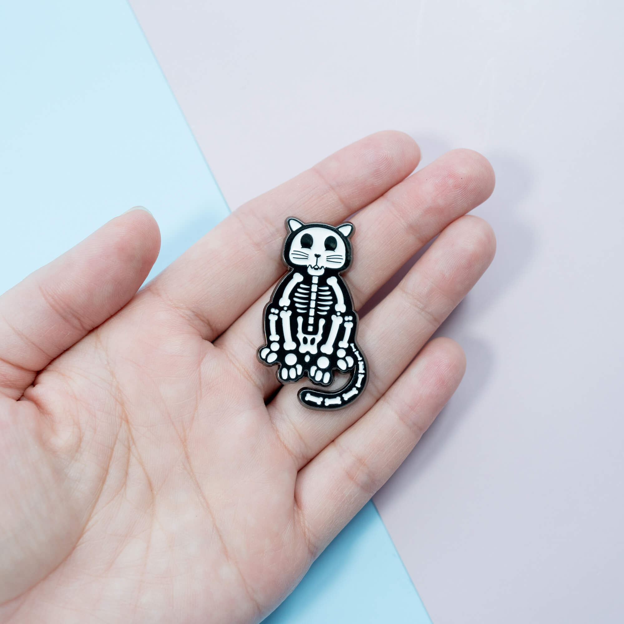 Cat Skeleton X-Ray Enamel Pin – Moonmoli