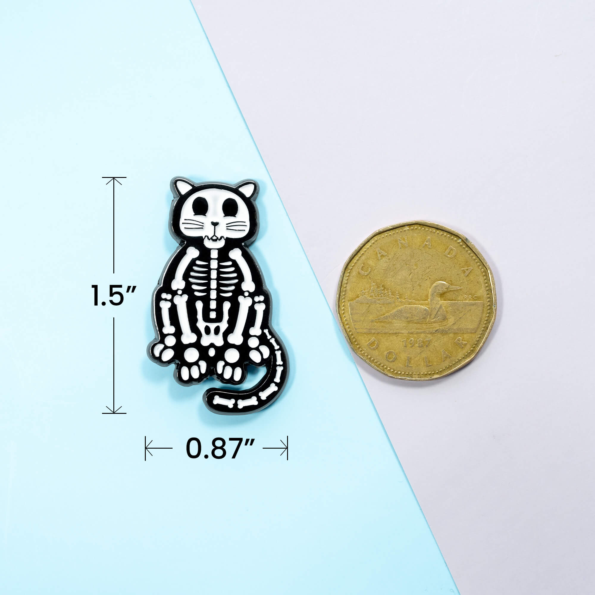 Cat Skeleton X-Ray Enamel Pin – Moonmoli