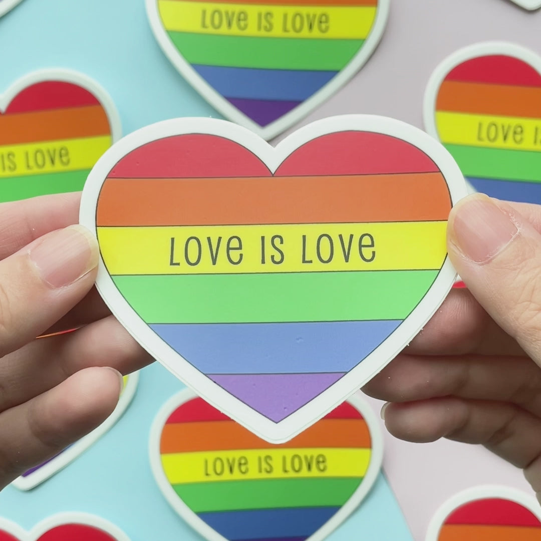 Love is Love LGBTQ Pride Vinyl Stickers – Moonmoli